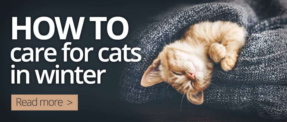 Pets4Life - Official Site