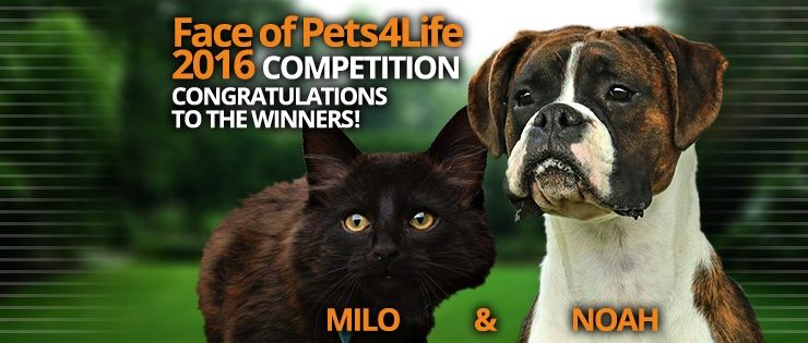 Pets4Life - Official Site