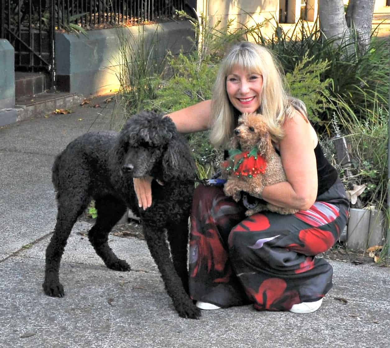 Catherine Toth-Lacey's tips for travelling with dogs in Australia ...