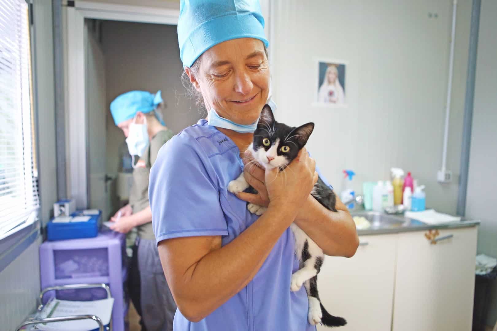 Vets Beyond Borders veterinary volunteers save lives - Pets4Life