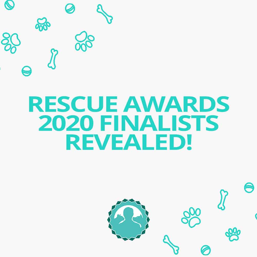 Jetpets Companion Animal Rescue Awards Finalists Revealed 2020 ...