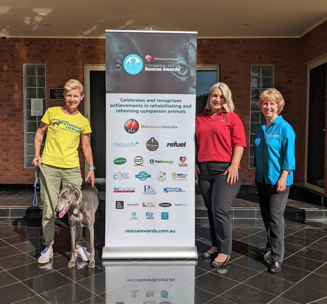 Pet Insurance Australia Companion Animal Rescue Awards 2021 launches ...