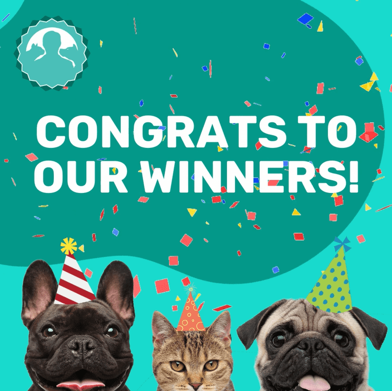 Companion Animal Rescue Awards 2021 Winners revealed - Pets4Life Dog ...